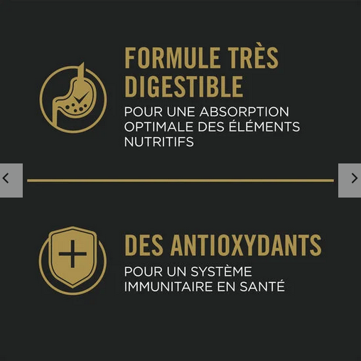 Purina - Pro Plan - Chien - Complète Essentials - Bouchées à la Viande ...